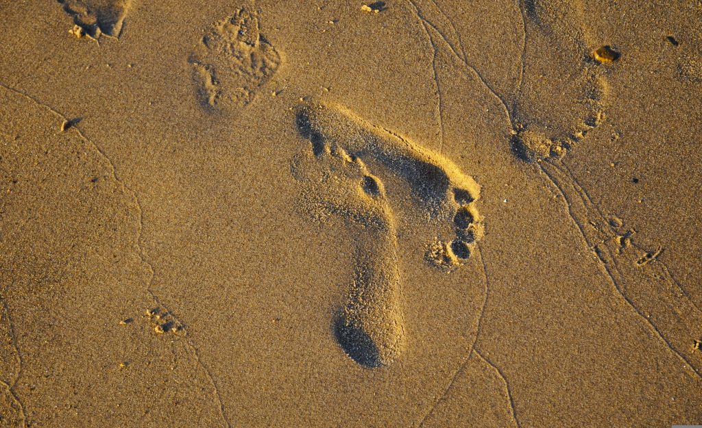 Biblical Meaning and Origin of the Name Mark