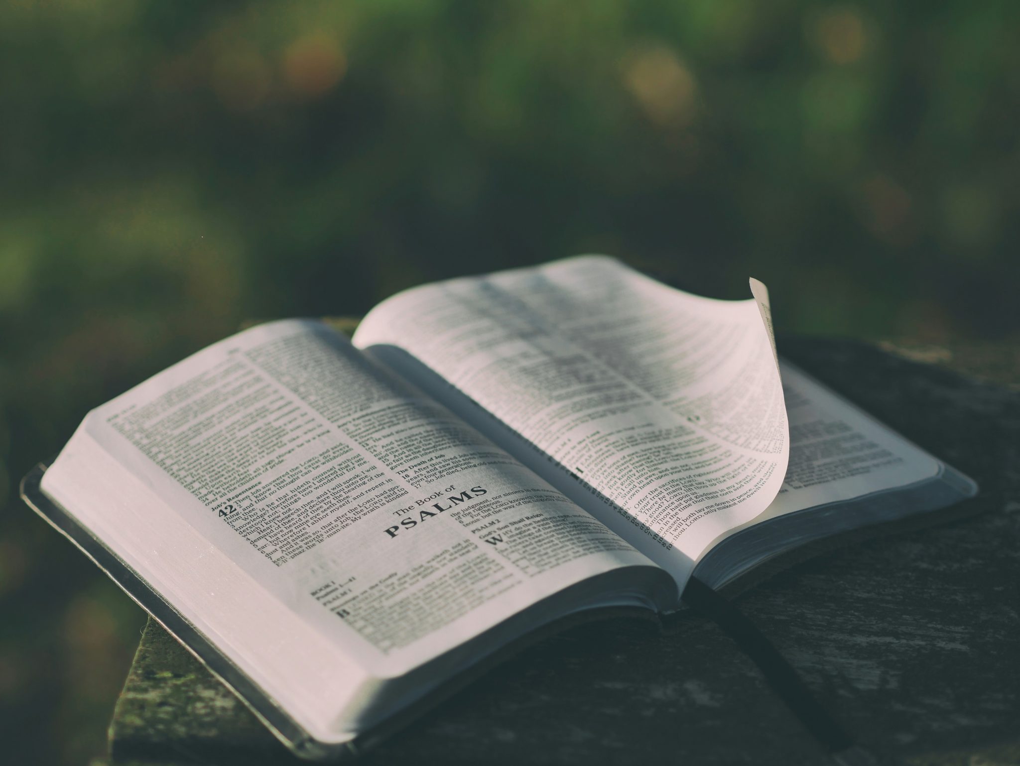 Father's Day Bible Lesson for Sunday School Kids