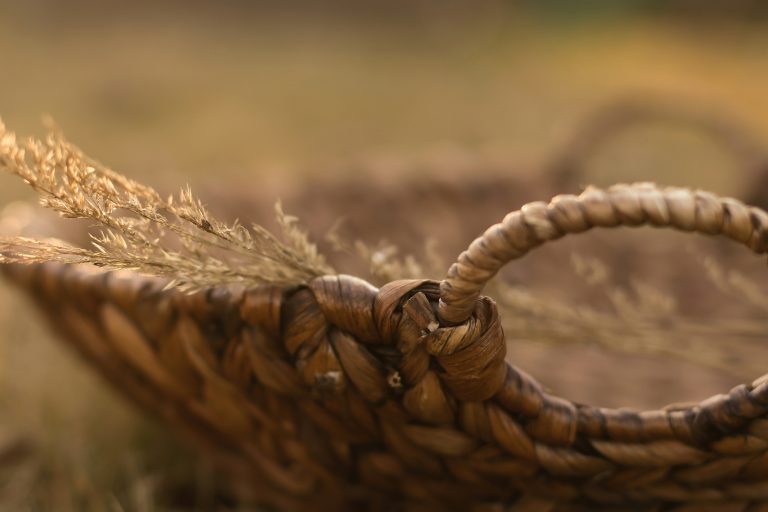 Conozca a Jocabed, la madre de Moisés en la Biblia