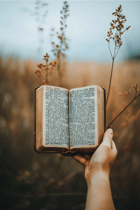 Expectation in the Bible – 21 Bible Verses