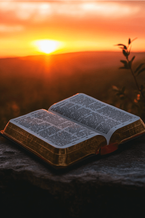 Expectation in the Bible – 21 Bible Verses