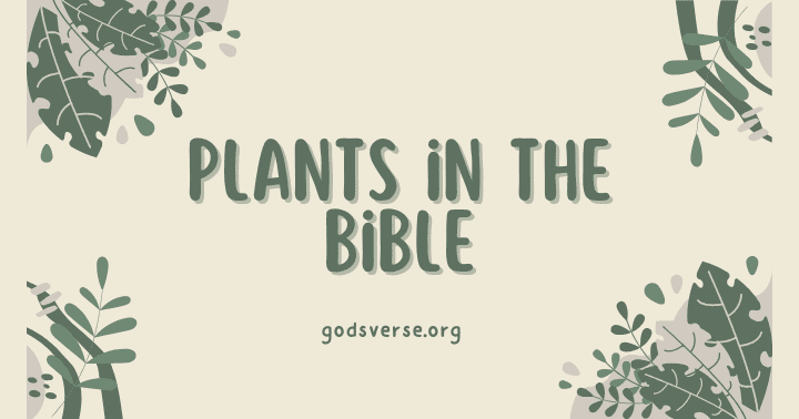 11 Plants in the Bible with Healing Properties