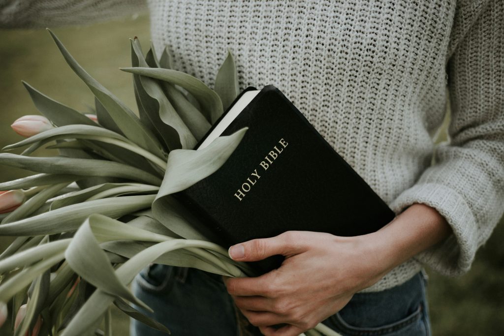 Flores en la Biblia - Significado, Versículos e Imágenes