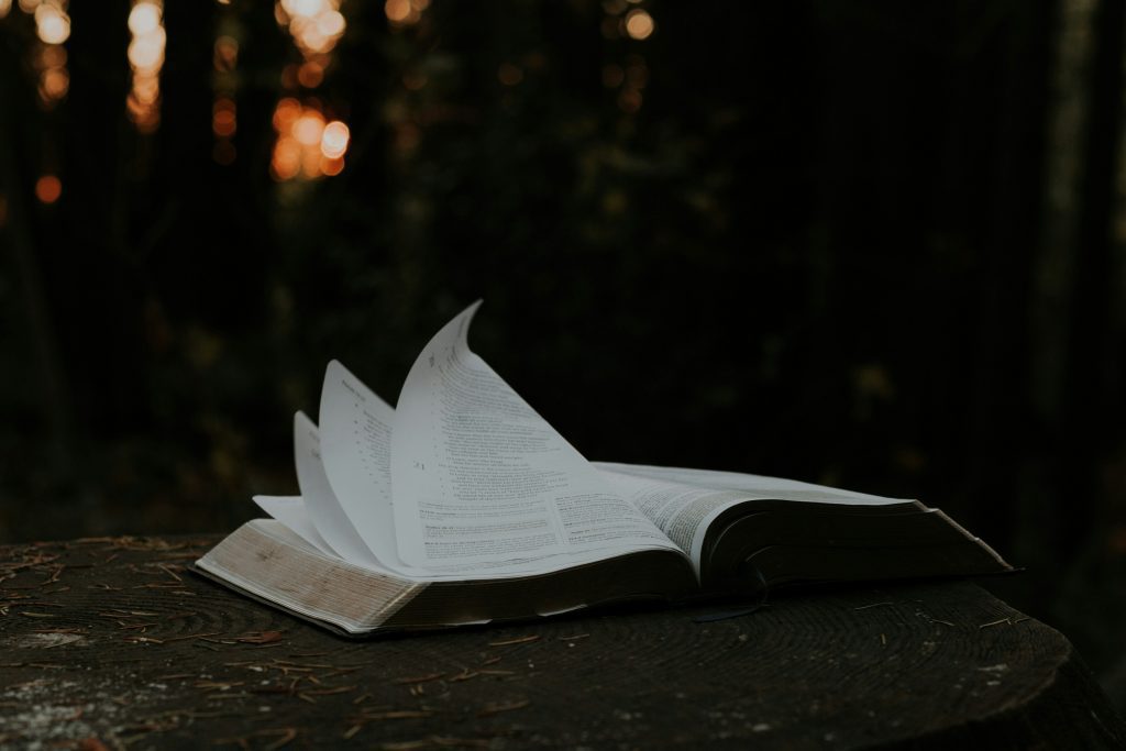 How Many Times Is 'I Am' in the Bible? Complete Count