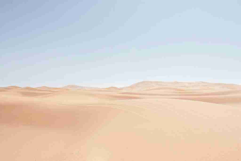 Who were Moses' sons in the Bible? (Gershom + Eliezer)