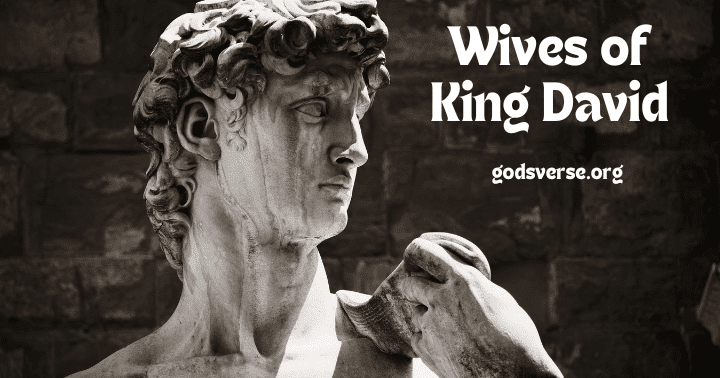 David Wives in the Bible – The 8 Known and Unknown Wives