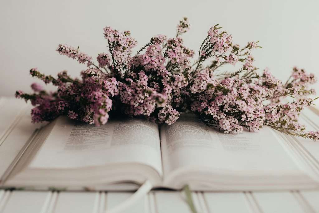 Gentleness in the Bible: Best Ways to Live It Out