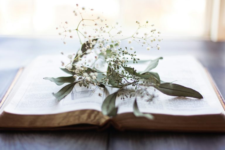 7 Facts About King Solomon's Sons and Daughters