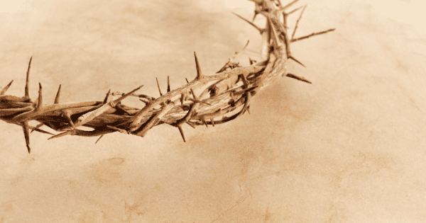 Why Was Pork Forbidden in the Bible – Is It Unclean?