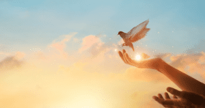 Examples of Hope in the Bible: Stories About Enduring Hope