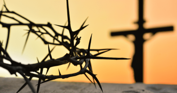 Examples of Hope in the Bible: Stories About Enduring Hope