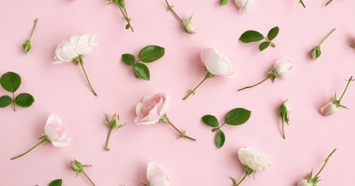 What Does the Color Pink Mean in the Bible -- Symbolism