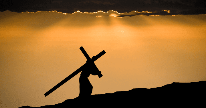 What Does Yoke Mean in the Bible – Matthew 11:29