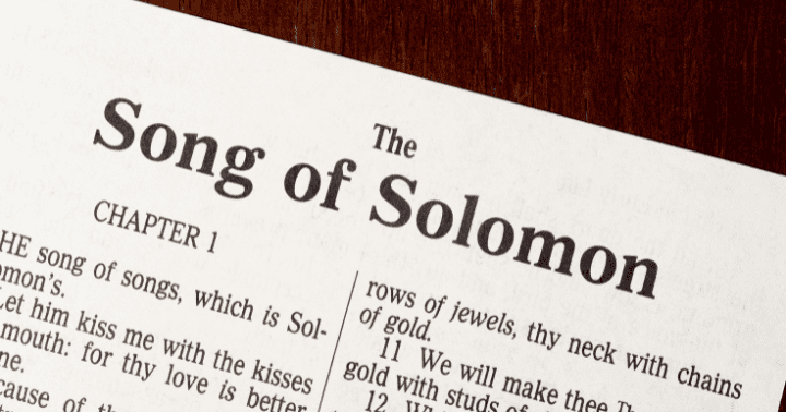 What Does Pink Mean in the Bible: The Biblical Meaning